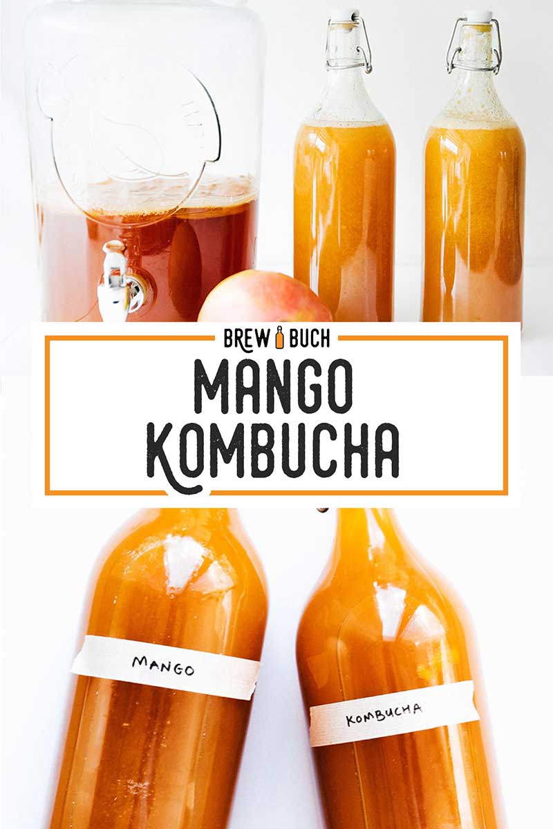 Home Brewed Mango Kombucha Recipe | Brew Buch