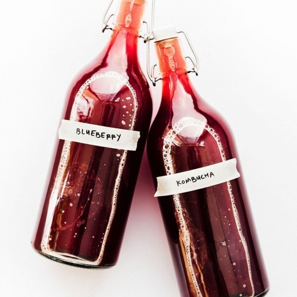 4 Ingredient Blueberry Kombucha Recipe | Brew Buch