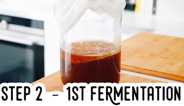How to Make Kombucha (A Beginners Guide!) | Brew Buch