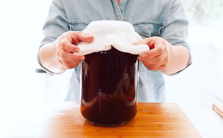 How to Make Kombucha (A Beginners Guide!) | Brew Buch