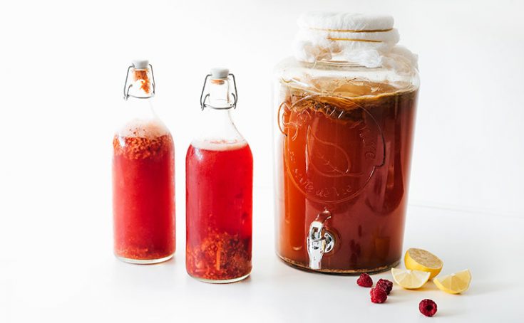 How to Make Kombucha (A Beginners Guide!) | Brew Buch