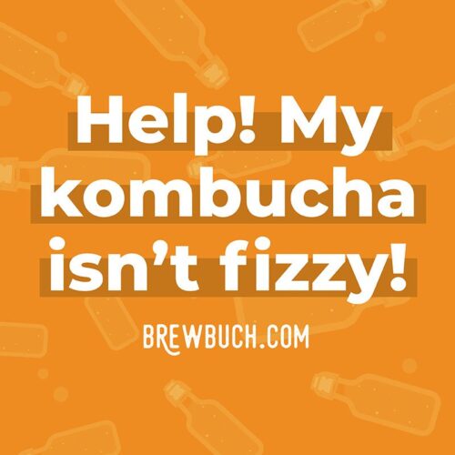 Where To Buy Unflavored Kombucha | Brew Buch