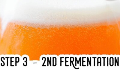 How to Make Kombucha (A Beginners Guide!) | Brew Buch
