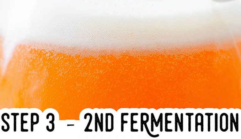 How to Make Kombucha (A Beginners Guide!) | Brew Buch