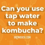 Kombucha Water 101: Can You Use Tap Water To Brew Kombucha?