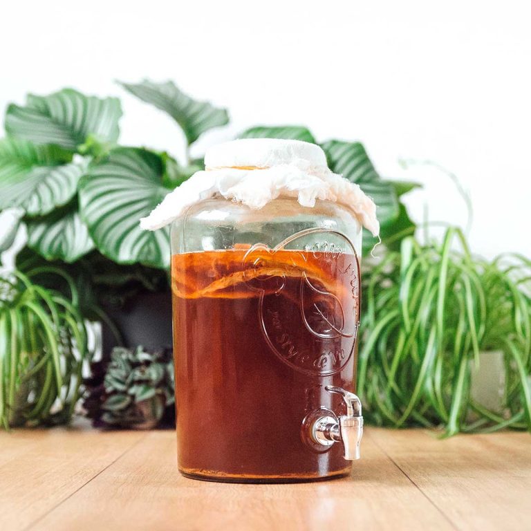 Kombucha Price: Comparing Homemade vs Store Bought