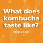 What Does Kombucha Taste Like? Detailed Guide To Kombucha Flavor!