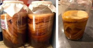 Easy Guide to Taking a Break From Brewing Kombucha | Brew Buch