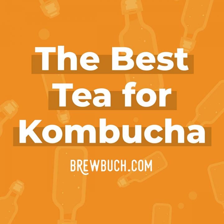 The Best Tea For Kombucha (And Which To Avoid) | Brew Buch
