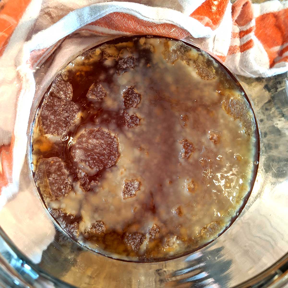 Kombucha Mold vs. Not Mold (with Photos) | Brew Buch
