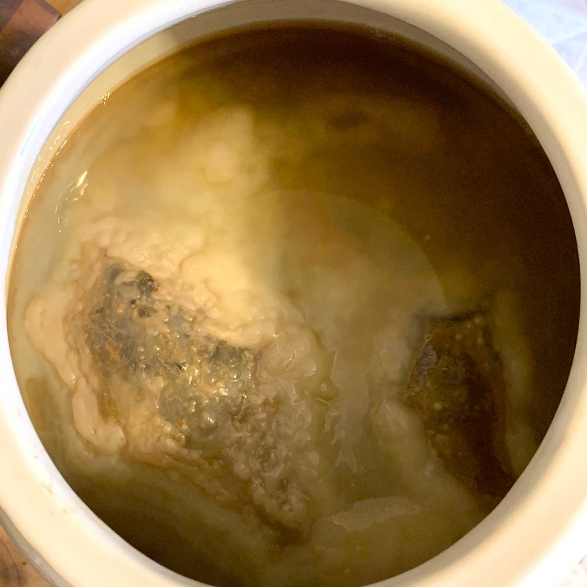 Kombucha Mold vs. Not Mold (with Photos) | Brew Buch