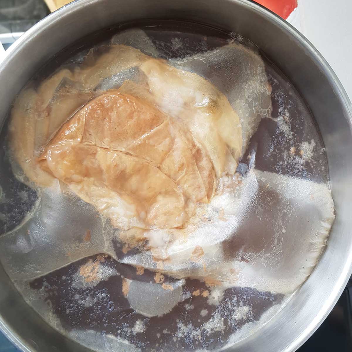 Kombucha Mold vs. Not Mold (with Photos) | Brew Buch