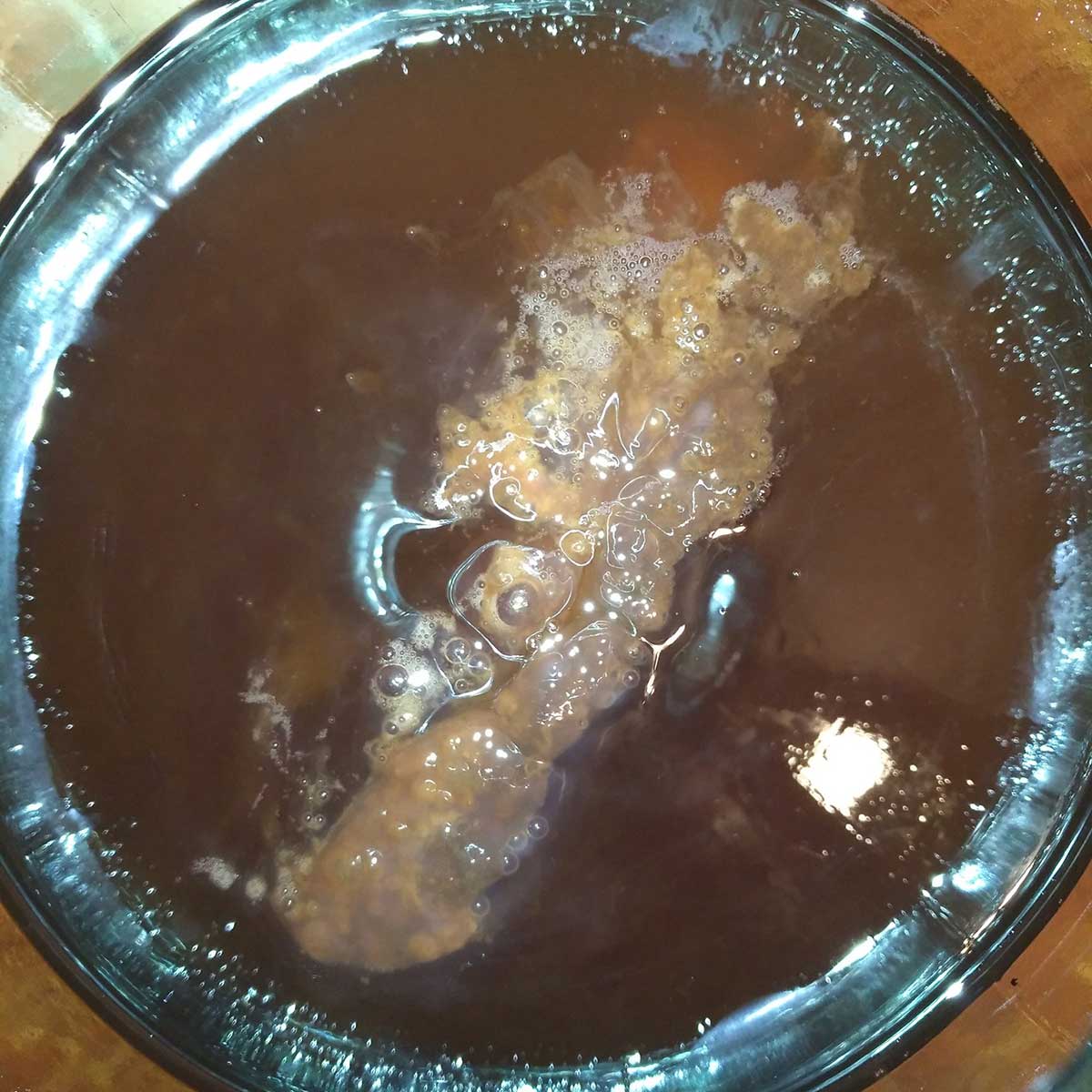 Kombucha Mold vs. Not Mold (with Photos) | Brew Buch