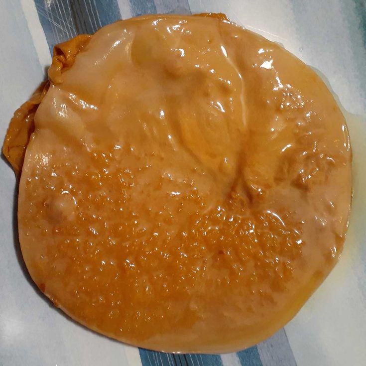 Kombucha Mold vs. Not Mold (with Photos) | Brew Buch