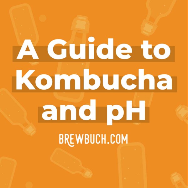 The Quick Guide to Kombucha pH and Acidity | Brew Buch