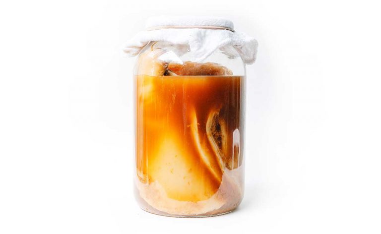 Kombucha SCOBY Hotels: How to Make and Maintain Them! | Brew Buch