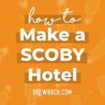 Kombucha SCOBY Hotels: How to Make and Maintain Them! | Brew Buch
