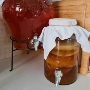 Kombucha SCOBY Sank? Here's What To Do! | Brew Buch