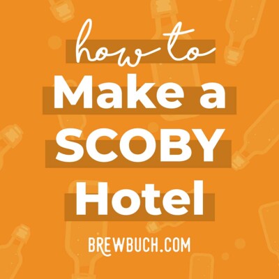 Kombucha SCOBY Hotels: How to Make and Maintain Them! | Brew Buch