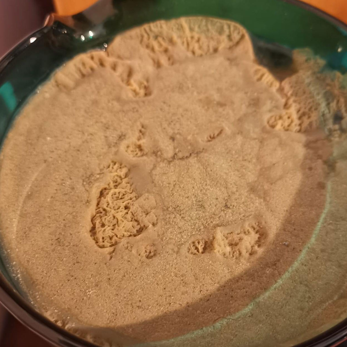 The Homebrewer's Guide to Kahm Yeast And Kombucha | Brew Buch