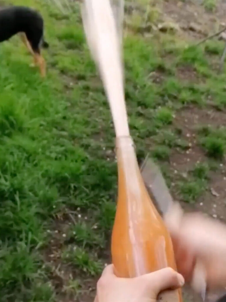 How To Prevent Kombucha Bottles From Exploding | Brew Buch