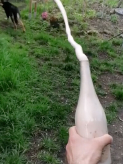 How To Prevent Kombucha Bottles From Exploding | Brew Buch