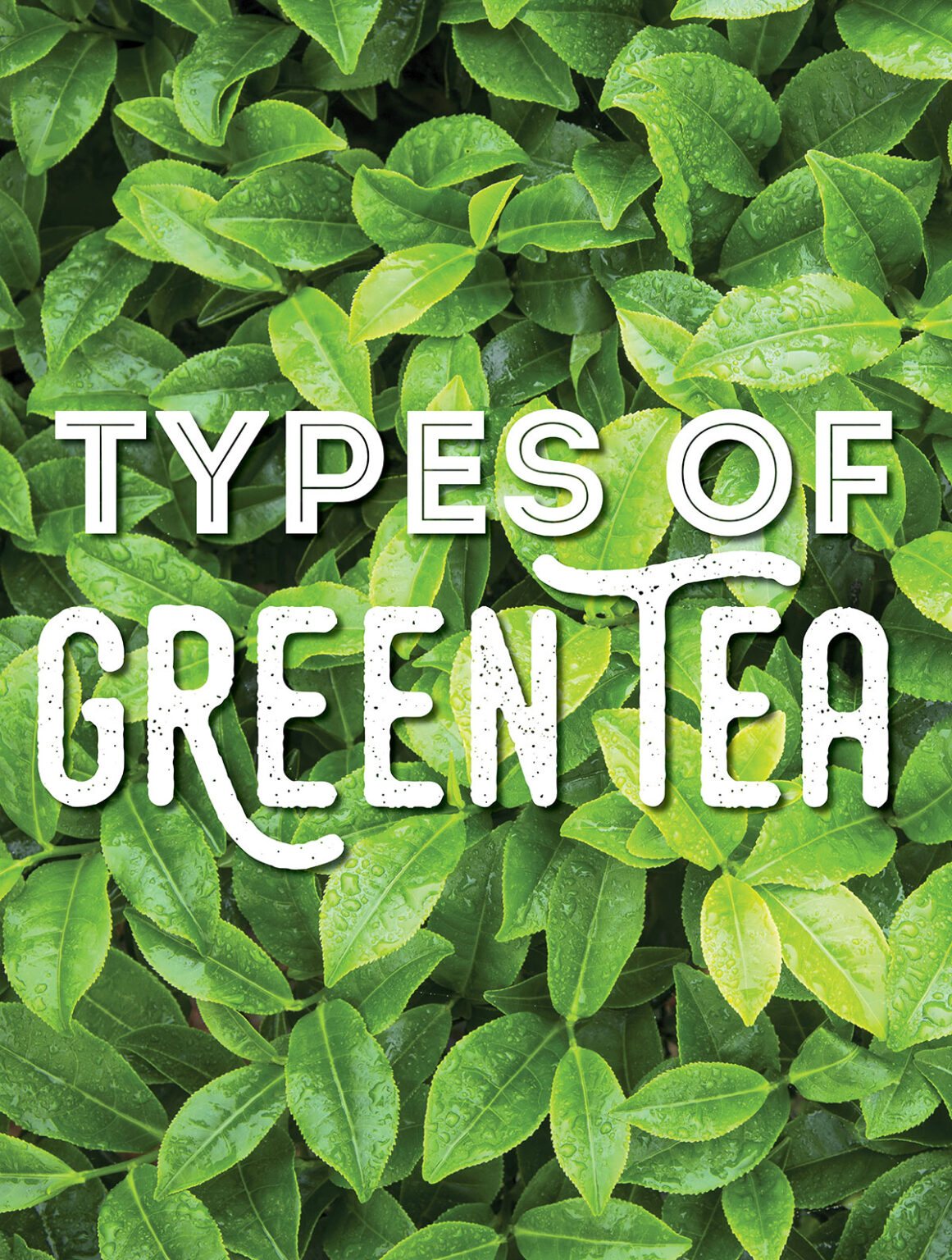 16 Types of Green Tea (With Photos!) | Brew Buch